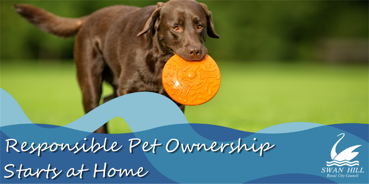 Council Launches Responsible Pet Ownership Campaign | Mirage News